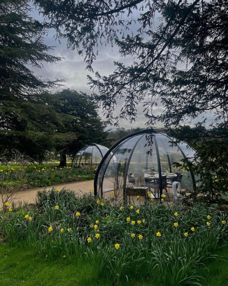 Royal Dome (ROI Calculator) - Outside Space Solutions